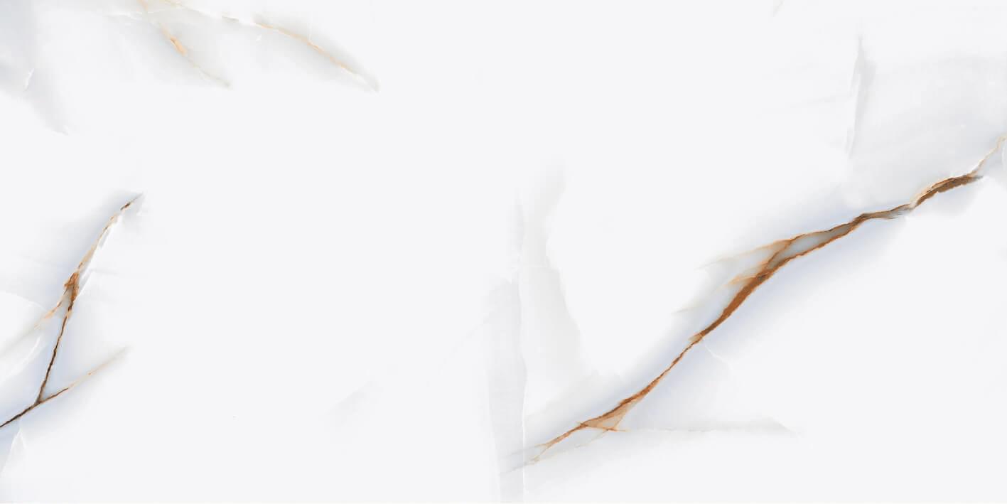 Керамогранит A-Ceramica Barcelon Polished 60x120 купить в интернет ...